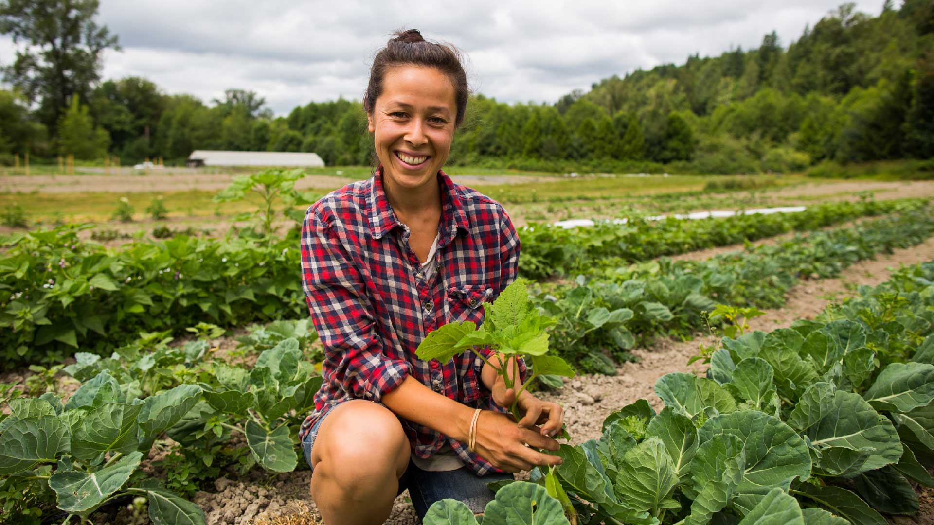 Harvest Program - Hopelink