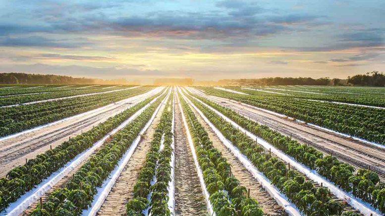 Harvest Program - Hopelink